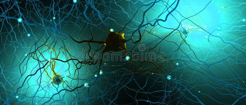 Neuronas Conectadas O Células Nerviosas Stock de ilustración ...
