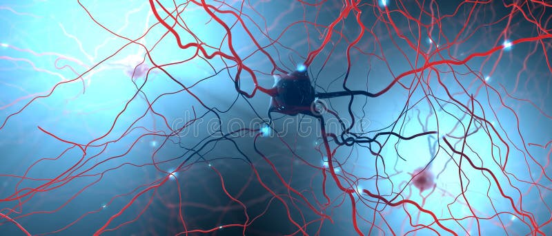 Neuronas Conectadas O Células Nerviosas Stock de ilustración ...