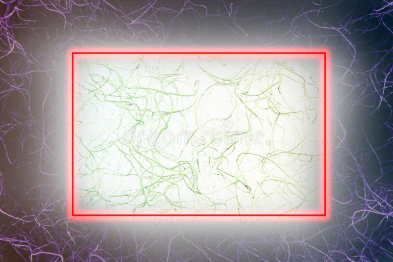 Neurons in the Brain Under a Microscope Stock Illustration ...