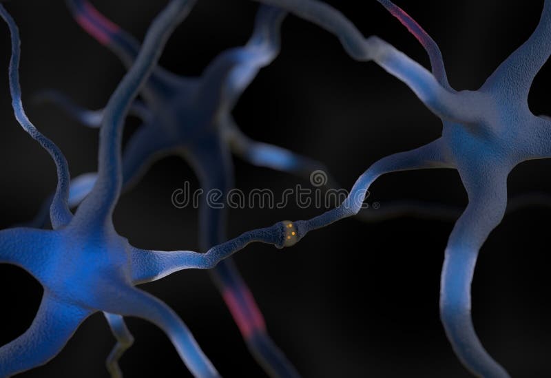 Neurons Connected in Brain 3d Illustration Stock Illustration ...