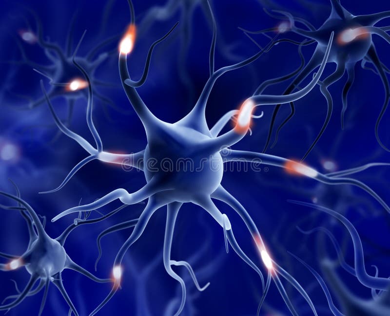 Neurons stock illustration. Illustration of neural, axon - 6909719