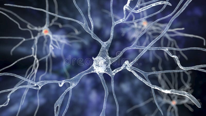 Neurons, Brain Cells, Located in the Frontal Lobe of the Human Brain ...