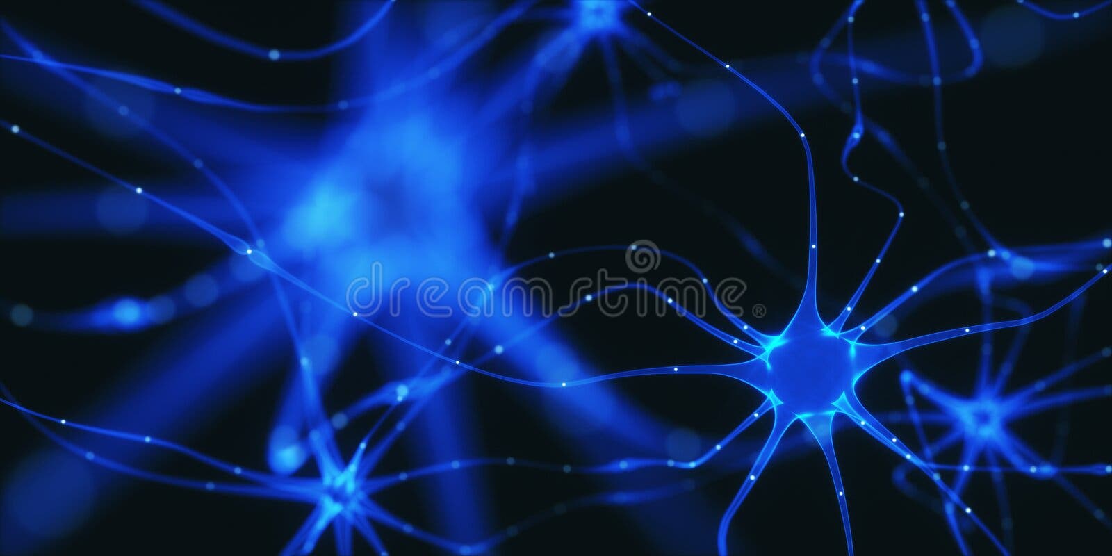 Sensory Neuron Axon Electrical Pulse Stock Image - Image of ...