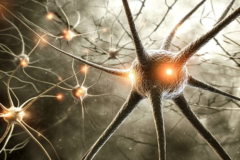 Neuron Transmitting Signals Complex Network Connections Stock Photos ...