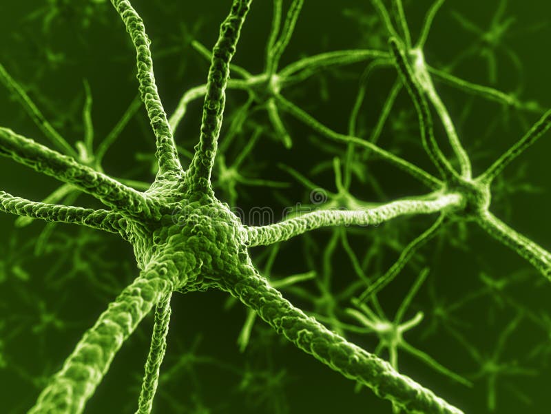 Neurons in green stock illustration. Illustration of biology - 22188196