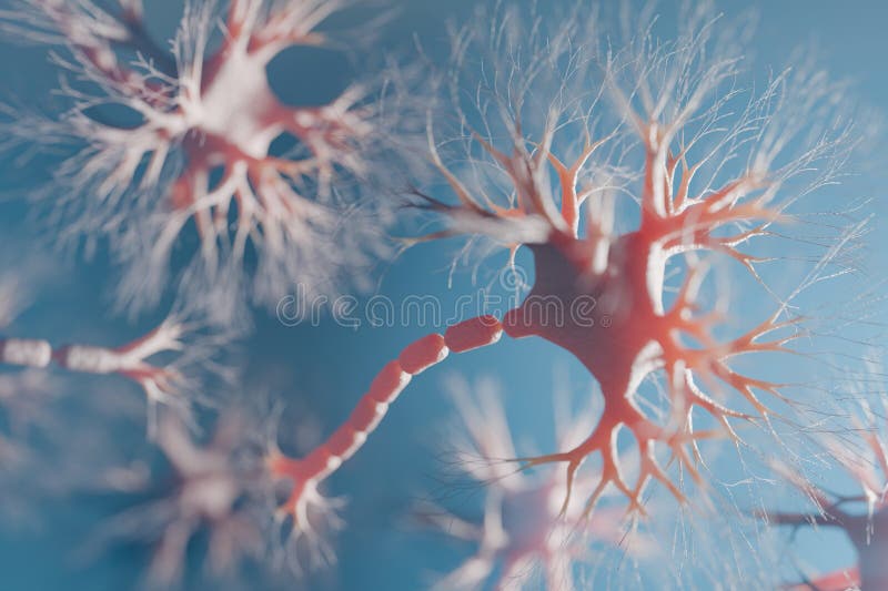 Neurons in Human Brain with Synapses. Neurology Concept Stock ...
