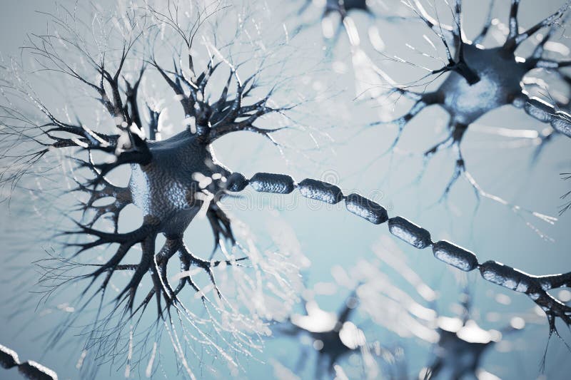 Neurons in Human Brain with Synapses. Neurology Concept Stock ...