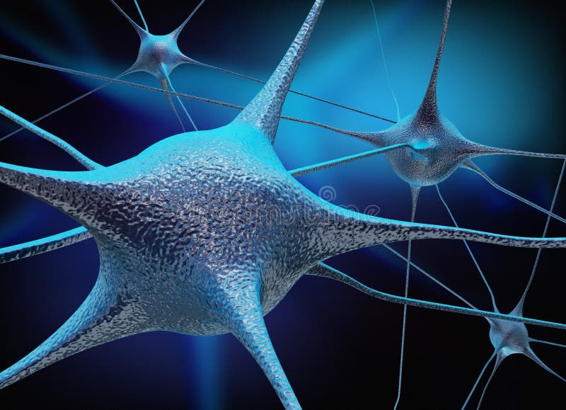 Neurons And Neural Connection Stock Illustration - Image: 40424075