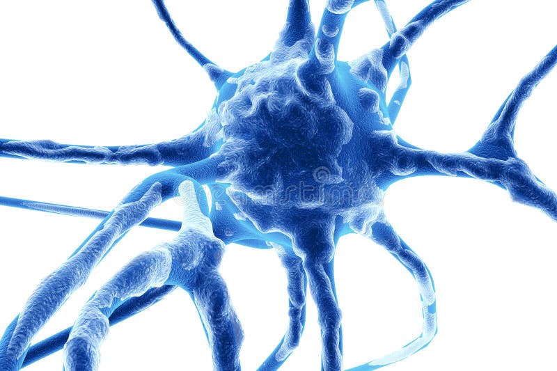 Neurons stock illustration. Illustration of neural, neurology - 277645184