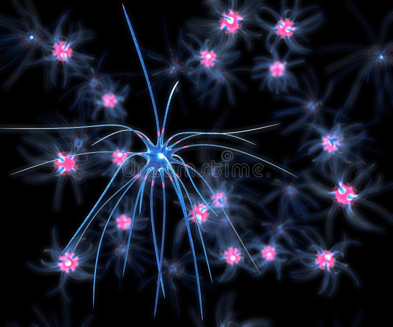 Neurons Synapse Brain Functions Stock Illustration - Illustration of ...