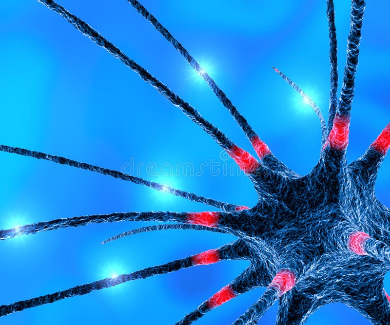 Neurons Synapse Brain Functions Stock Illustration - Illustration of ...
