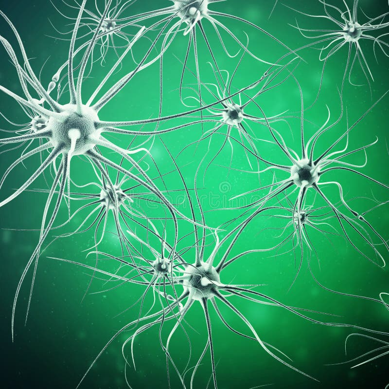 Neurons in green stock illustration. Illustration of biology - 22188196