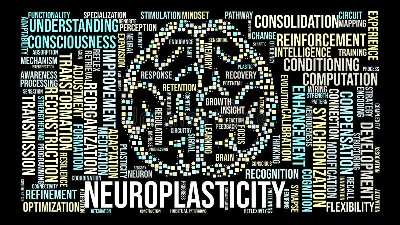 Neuroplasticity Word Cloud. Key Concepts on Brain Adaptation and ...