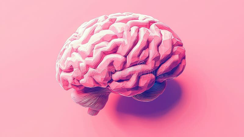 Neuroscience Breakthrough Unraveling the Brain S Complexity in ...