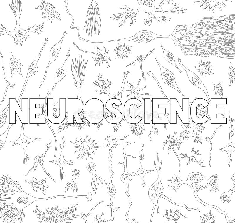 Neuroscience Doodle of Different Brain Cell Types Stock Illustration ...