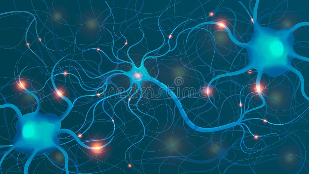 Synapses Visualization Stock Illustrations 420 Synapses Visualization