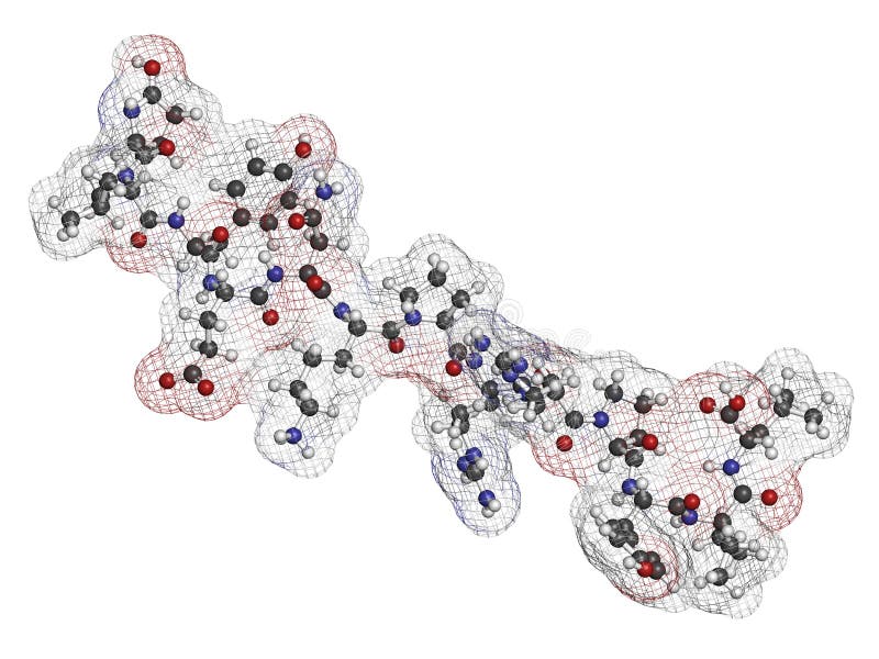 Neurotensin Neurotransmitter Peptide (Q1E Mutated). 3D Rendering Based ... Neurotensin Neurotransmitter Peptide (Q1E Mutated). 3D Rendering Based ...