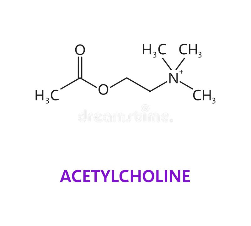 Neurotransmitter Acetylcholine Chemical Formula Ilustración del Vector ...