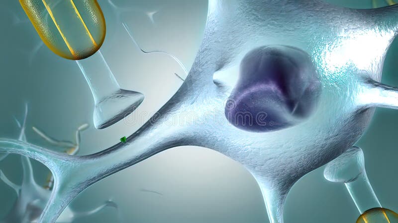 Neurotransmitter, a Chemical Substance that is Released at the Nerve ...