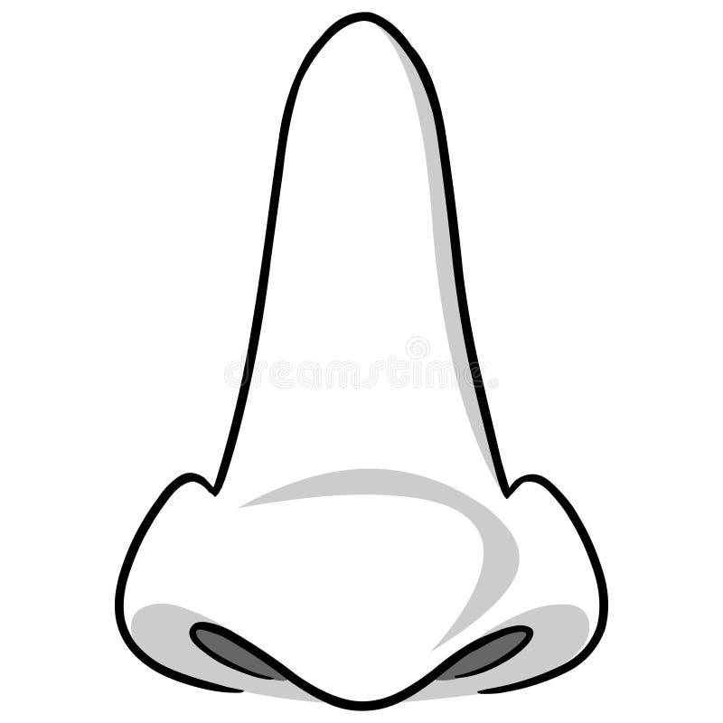 Neus Front View Illustration Vector Illustratie - Illustration of ...