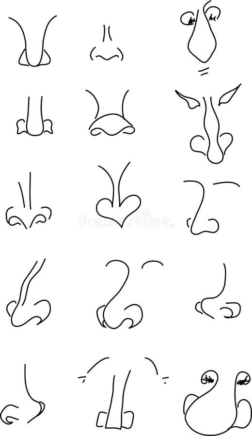 Neus Frontaal Overzicht, Reeksneuzen Vector Illustratie - Illustration ...