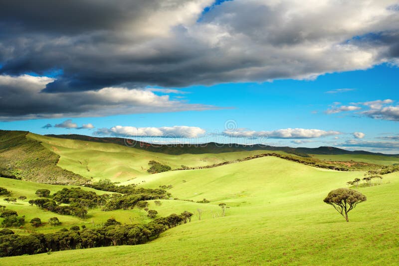 Neuseeland-Landschaft stockfoto. Bild von weide, grasen - 13419888
