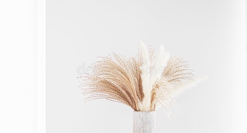 Neutral Dry Plants in Vase and Wall with Copyspace, Home Decor and ...