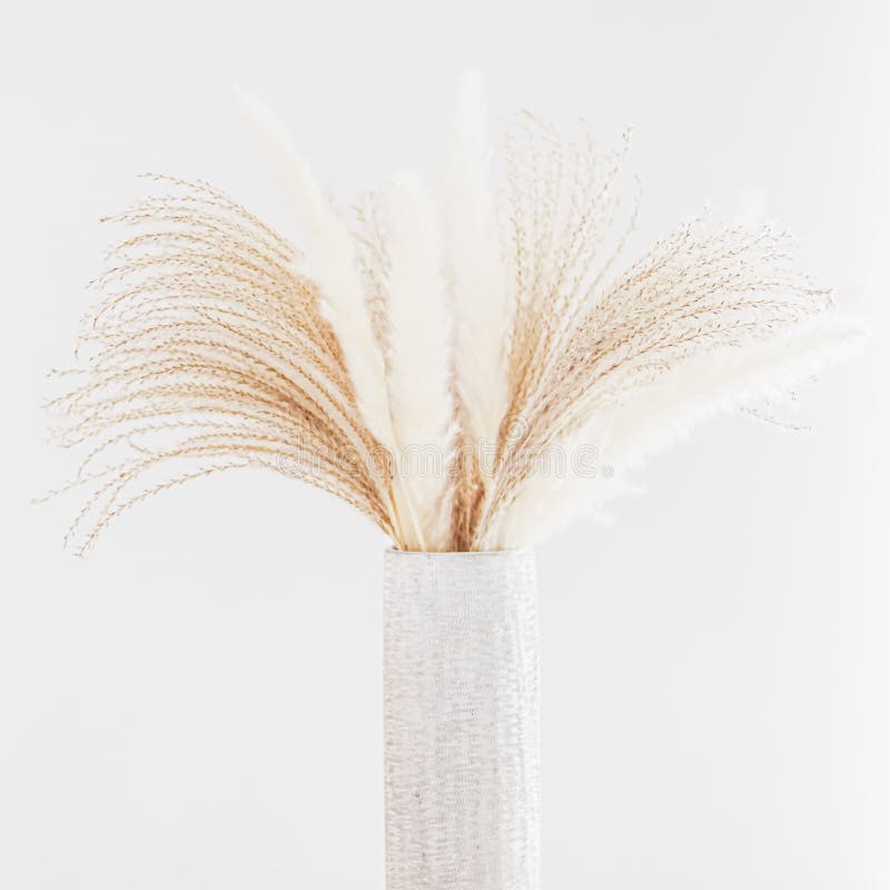 Neutral Dry Plants in Vase and Wall with Copyspace, Home Decor and ...