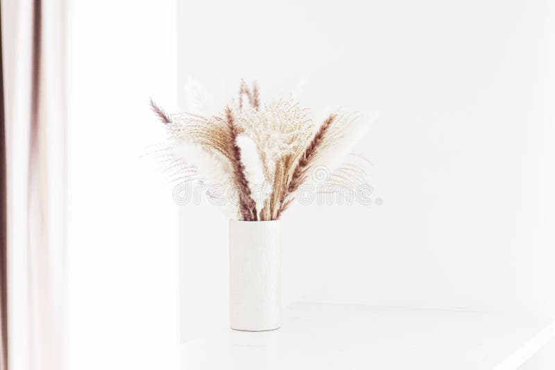 Neutral Dry Plants in Vase and Wall with Copyspace, Home Decor and ...