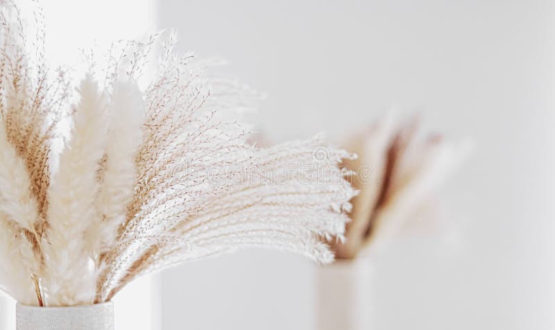 Neutral Dry Plants in Vase and Wall with Copyspace, Home Decor and ...