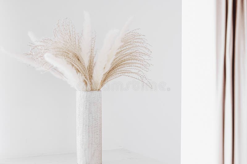 Neutral Dry Plants in Vase and Wall with Copyspace, Home Decor and ...