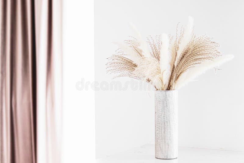 Neutral Dry Plants in Vase and Wall with Copyspace, Home Decor and ...