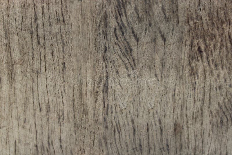 Neutral Grey Timber Background Stock Photo - Image of grunge, panel ...