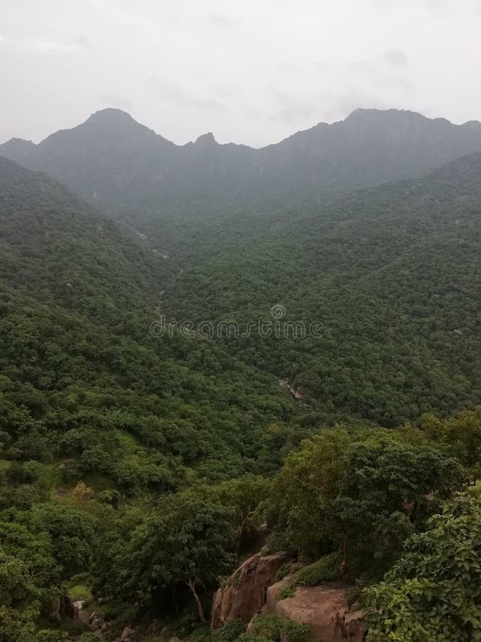 A Neutral Mount Indian Valley Stock Photo - Image of gallery, mount ...