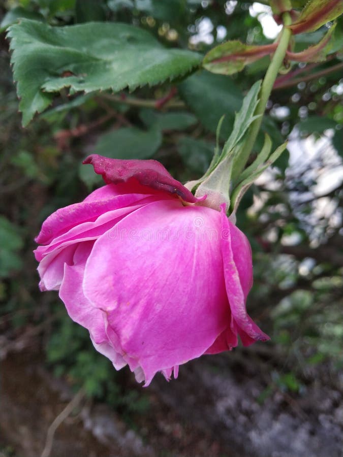 Neutral Stock Images - Download 48,046 Royalty Free Photos