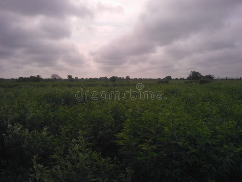 Neutral Picture Weather in a Indian Village Stock Image - Image of ...