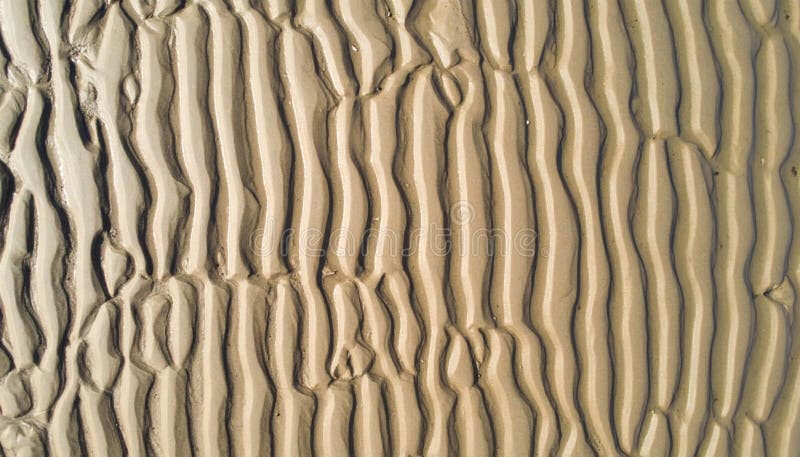 Neutral Sandy Beach Surface with Wavy Pattern Textured by Natural ...