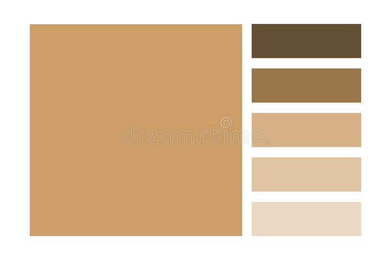 Neutral Tone Layout. Beige Brown Panel. Earthy Palette Blocks. Vector ...