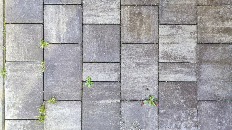 Neutral-toned Stone Paving Surface of a Road with Cemented Bricks ...