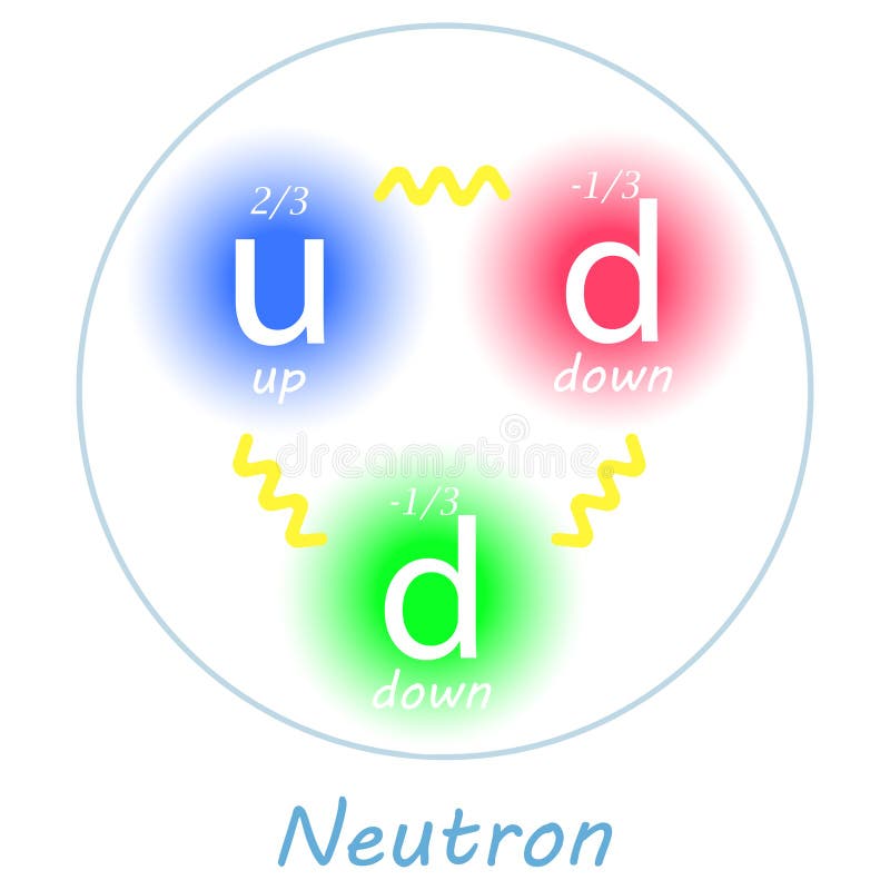 Neutron with One Up Quark, Two Down Quarks, Charges and Forces on White ...