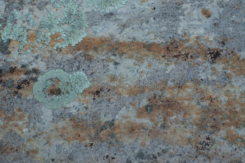 Nevada Desert Canyon Rock Texture Fotografia Stock - Immagine di rosa ...