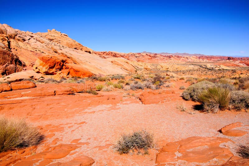 Nevada Desert Landscape Desert Landscaping Services In Las Vegas