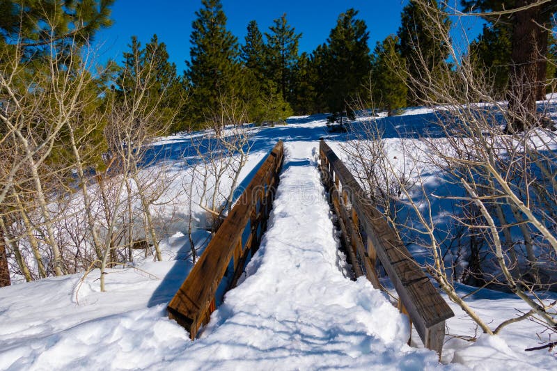 Wooden Walking Bridge in Forest with Snow Covering the Path and Pine ... Wooden Walking Bridge in Forest with Snow Covering the Path and Pine ...