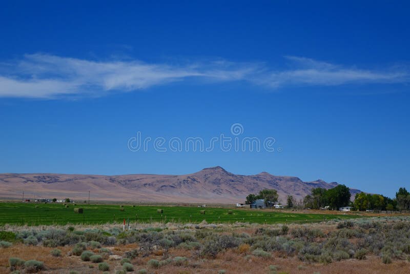 Nevada Ranch stock image. Image of travel, looks, like - 71134899