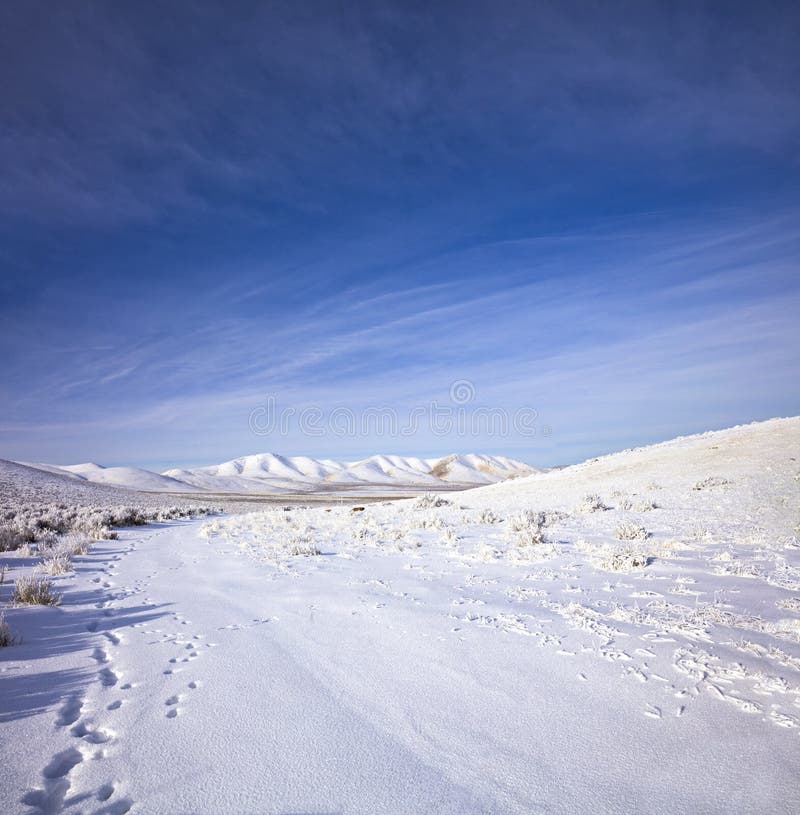 Nevada stock image. Image of desert, snow, mountain, hill - 86355141