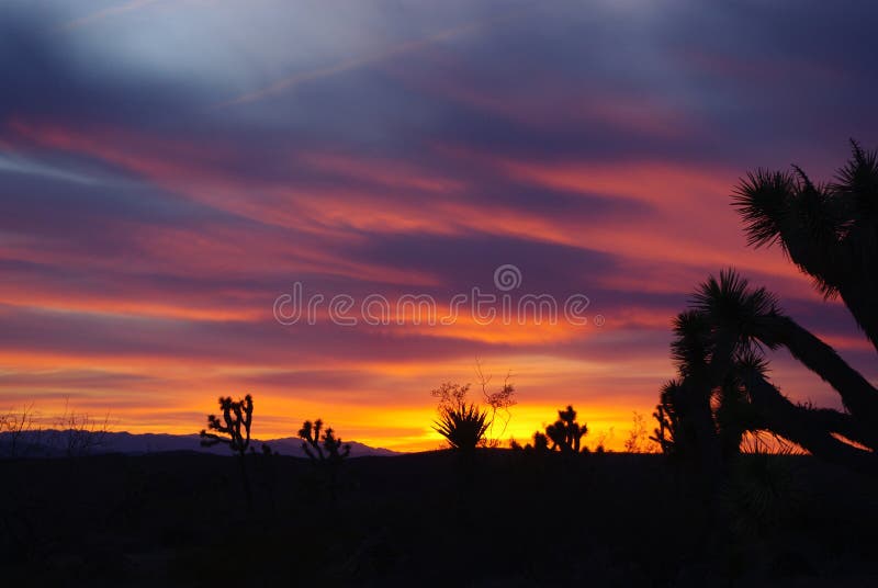 Nevada Desert Near Las Vegas Stock Image - Image of landscape, nature ...