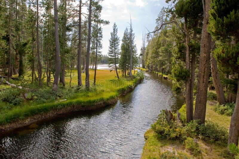 Nevada Wrights Lake Channel Stock Image - Image of foliage, nature: 7499167