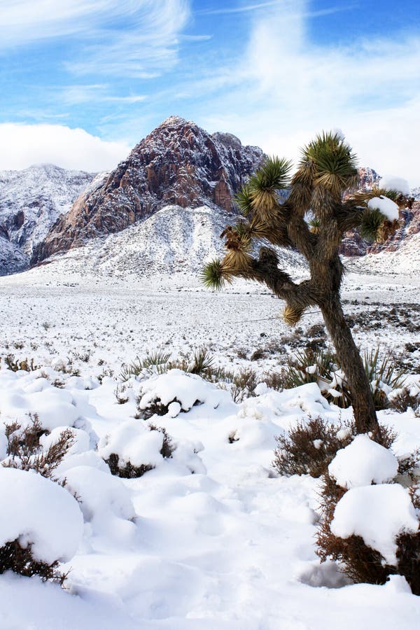 Nevadas Fuertes En El Valle De Las Vegas Imagen de archivo - Imagen de ...