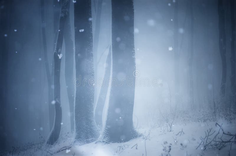 Neve Che Cade Nell'inverno in Foresta Fotografia Stock - Immagine di ...