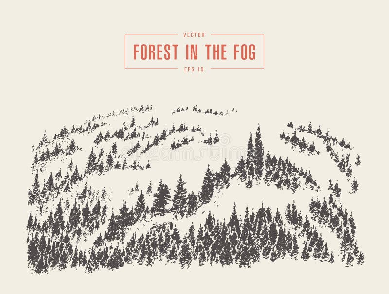 Nevelige Bos De Bergvector Getrokken Schets Van De Mistpijnboom Vector ...